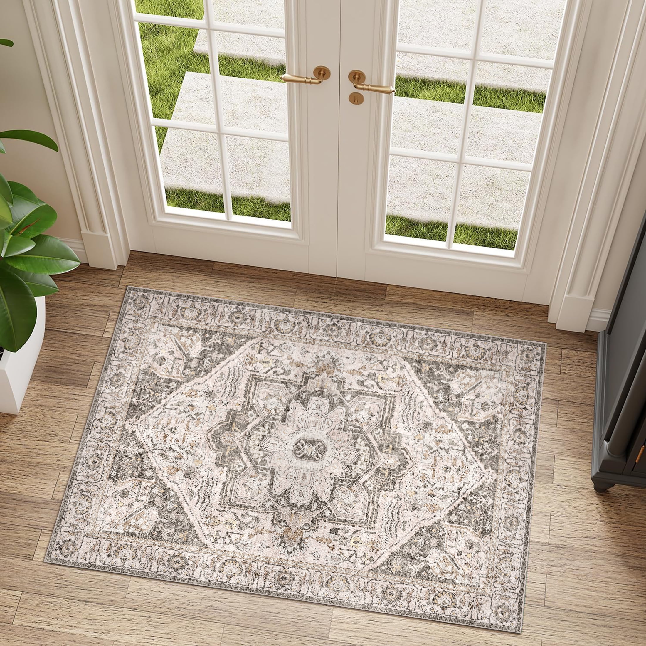 BERTHMEER 2'x3' Small Area Rugs Washable Throw Rugs for Entryway Door ...