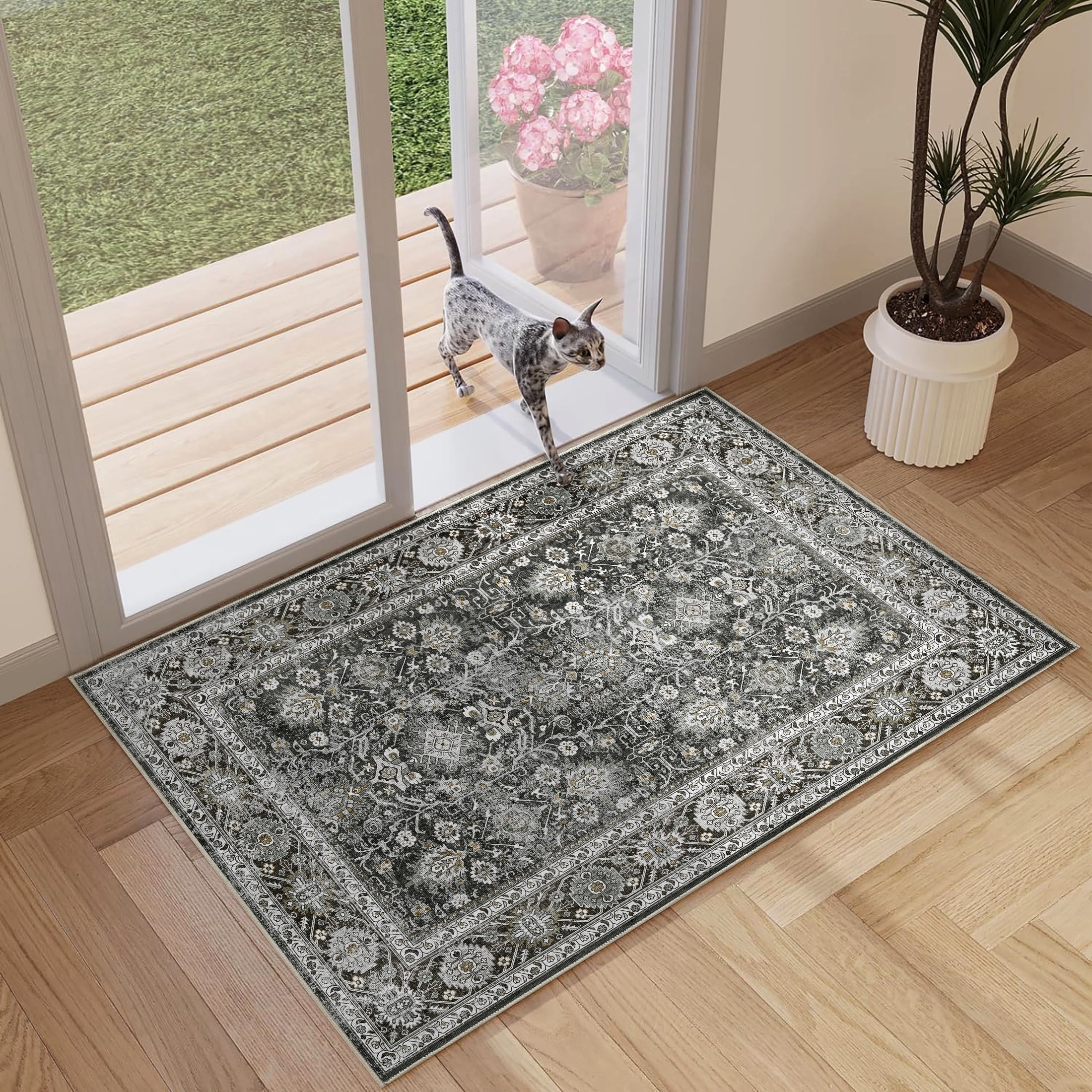 BERTHMEER 2'x3' Small Area Rugs Washable for door Entryway Bedroom ...