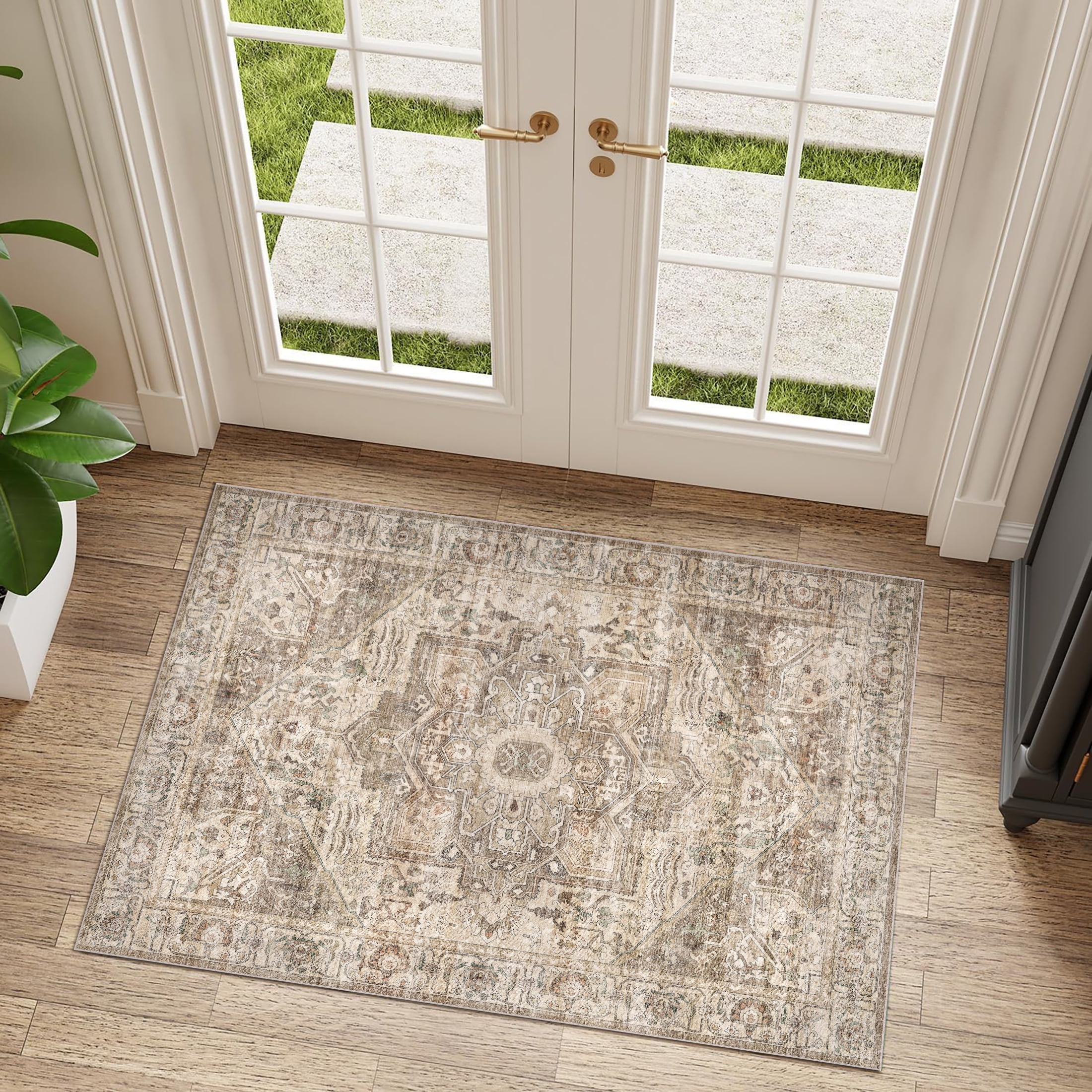 BERTHMEER 2'x3' Small Area Rugs Washable for door Entryway Bedroom ...