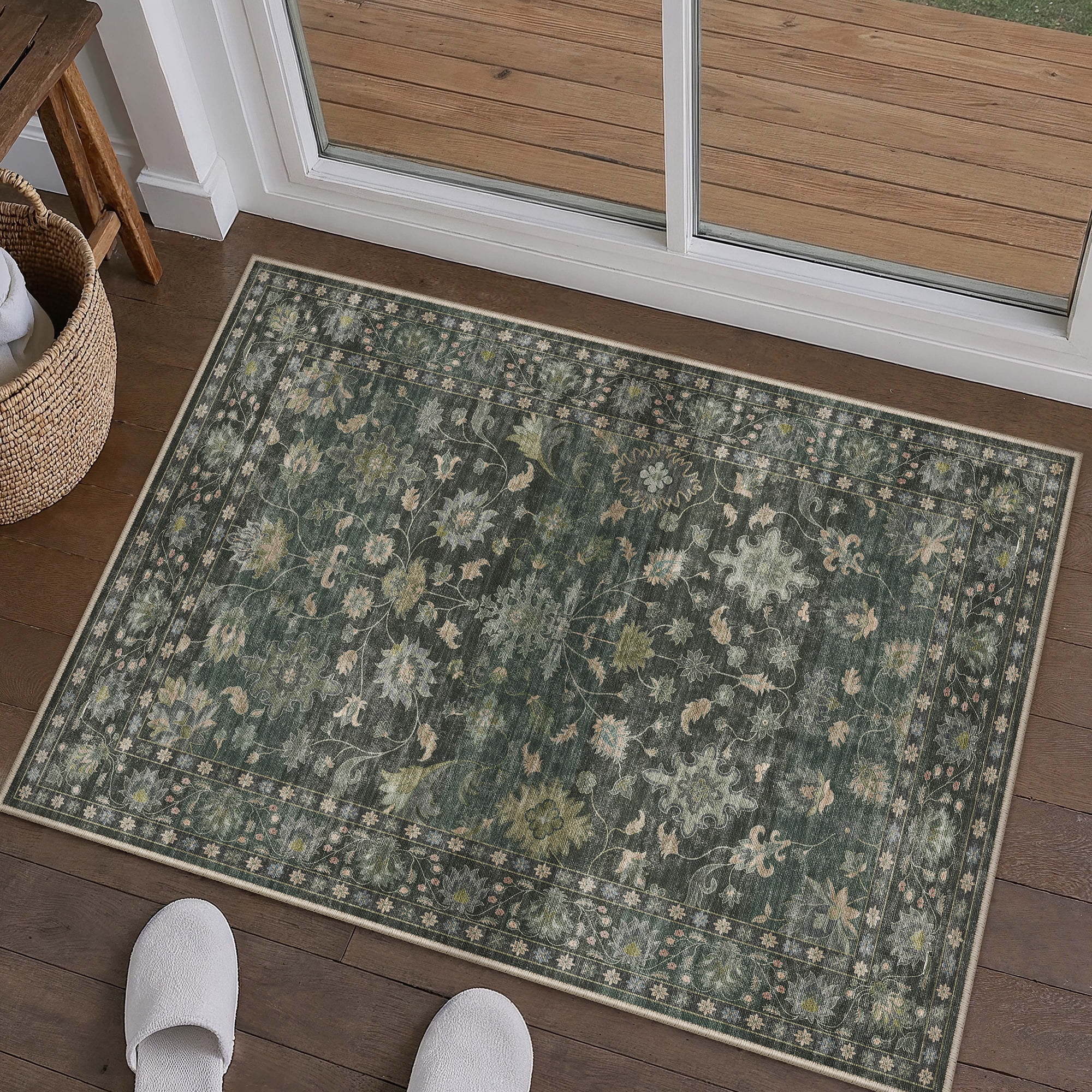 BERTHMEER 2'x3' Small Area Rugs for Entryway Doorway indoor Doormats ...