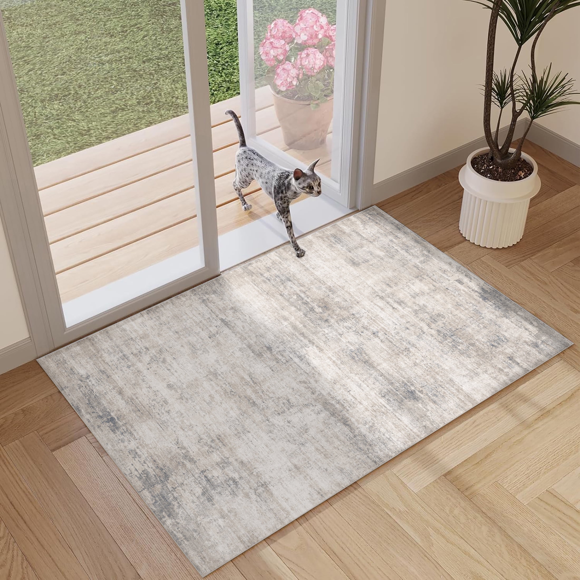 BERTHMEER 2'x3' Small Area Rugs for Entryway Doorway indoor Doormats ...