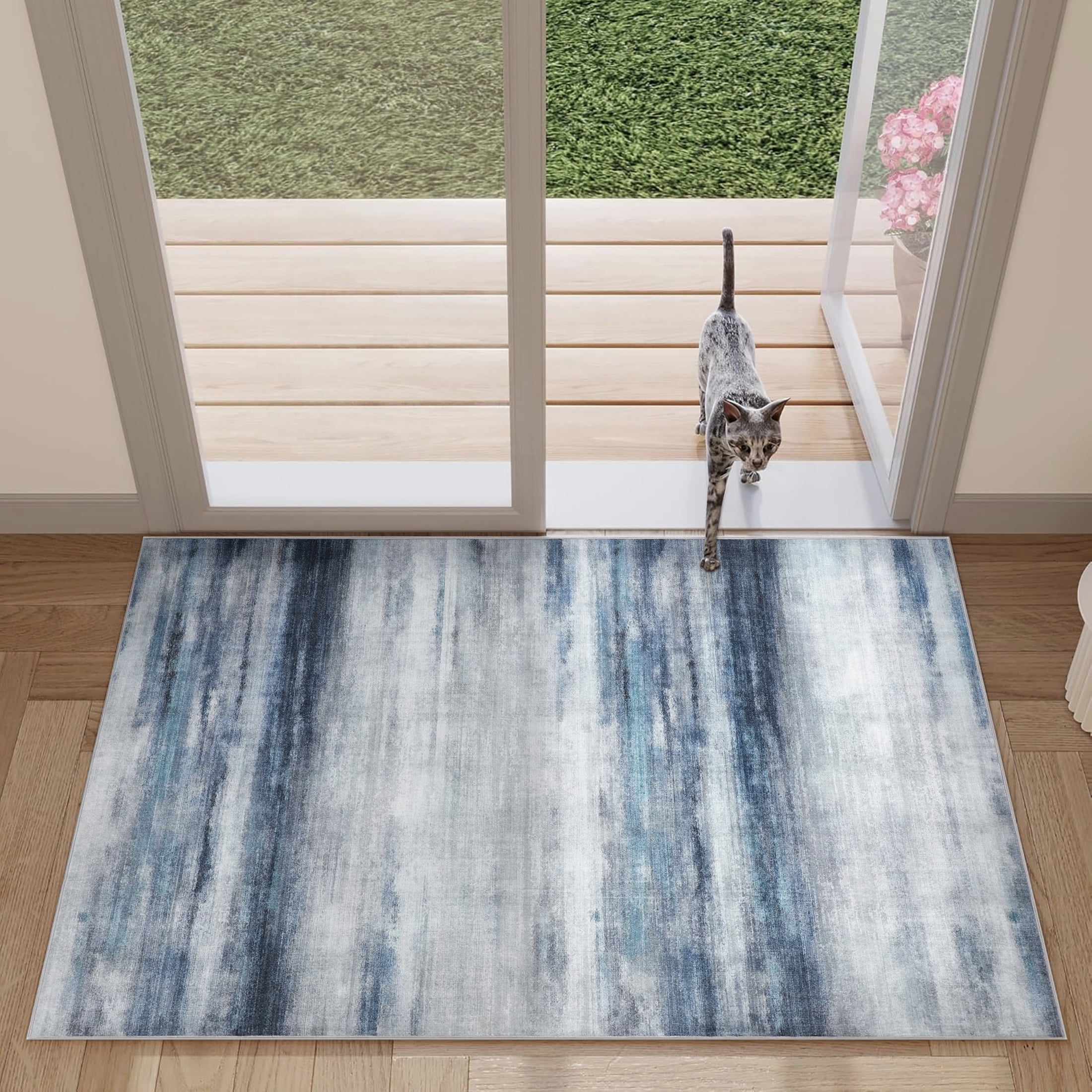 BERTHMEER 2'x3' Small Area Rugs for Entryway Doorway indoor Doormats ...
