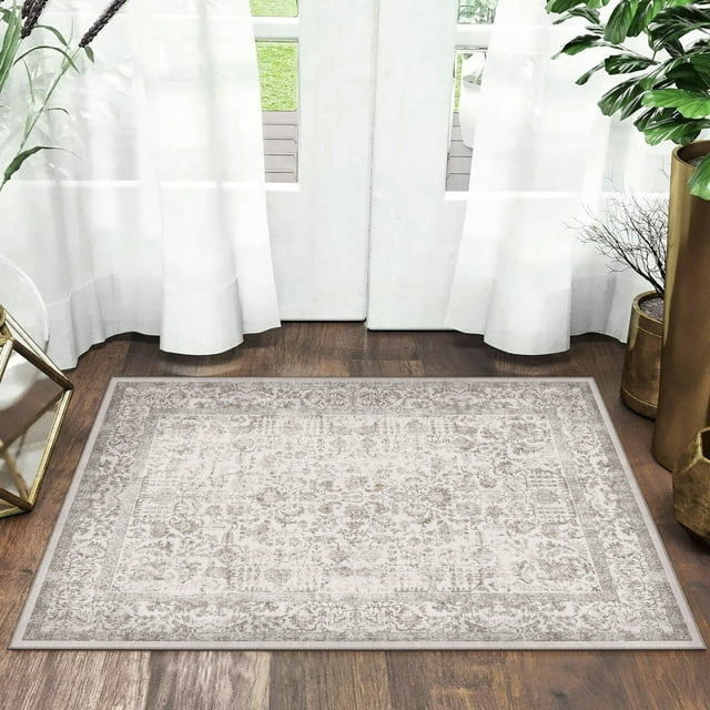 BERTHMEER 2'x3' Small Area Rugs for indoor Entryway Door Entrance ...