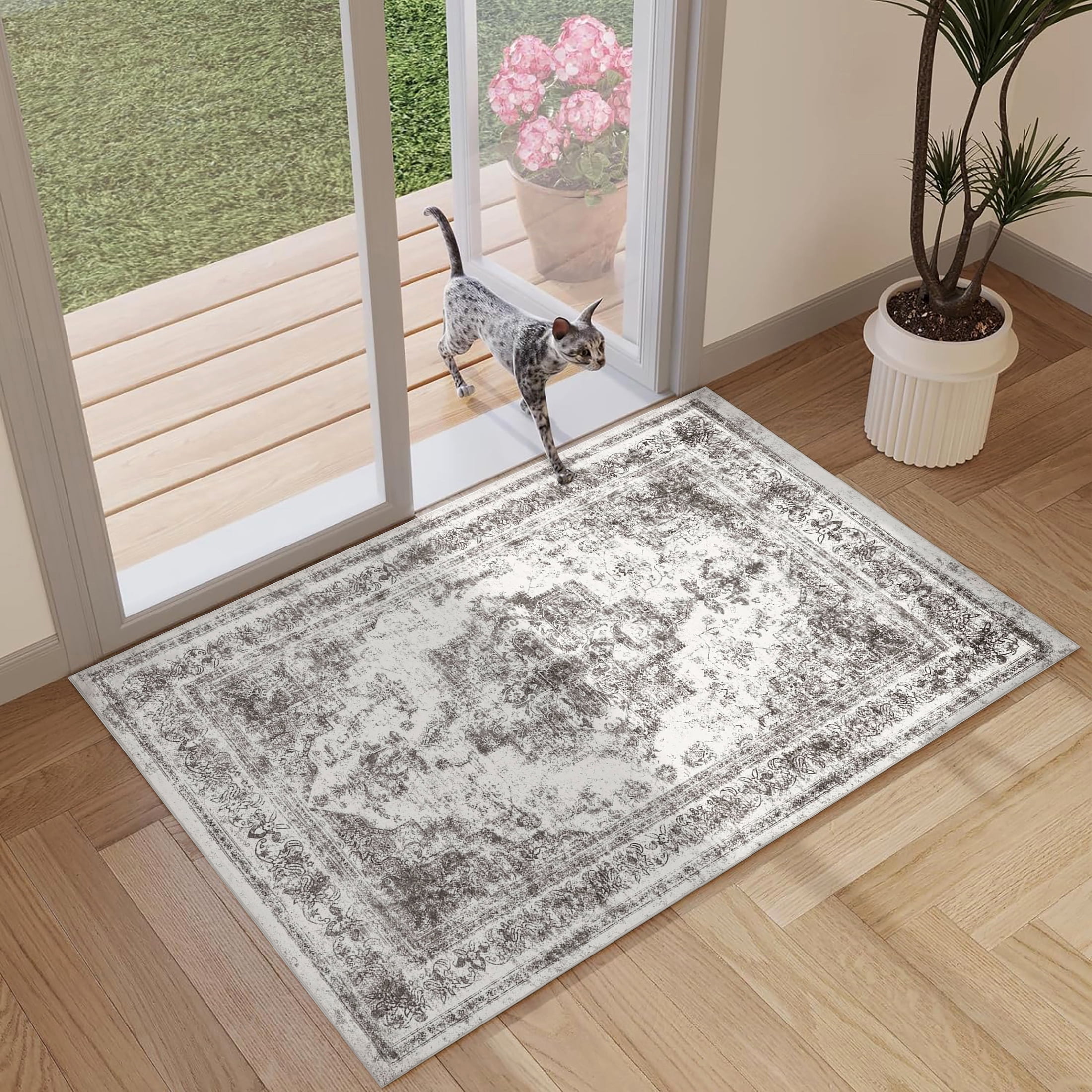 BERTHMEER 2'x3' Small Area Rugs for indoor Entryway Door Entrance ...