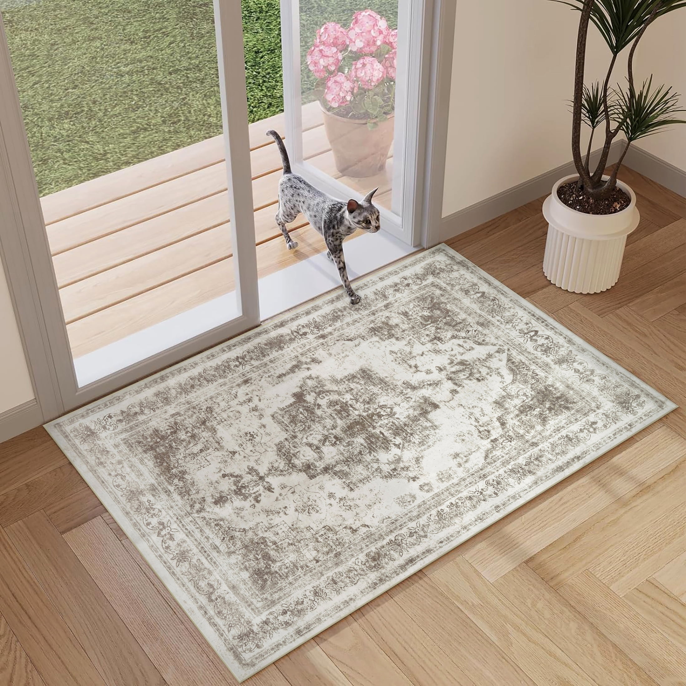 BERTHMEER 2'x3' Small Area Rugs for indoor Entryway Door Entrance ...