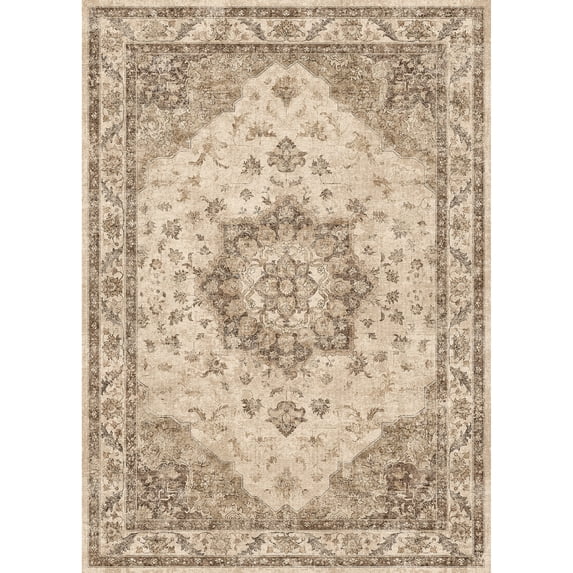 BERTHMEER 2'x3' Small Brown Area Rugs for Bathroom Bedroom Entryway ...