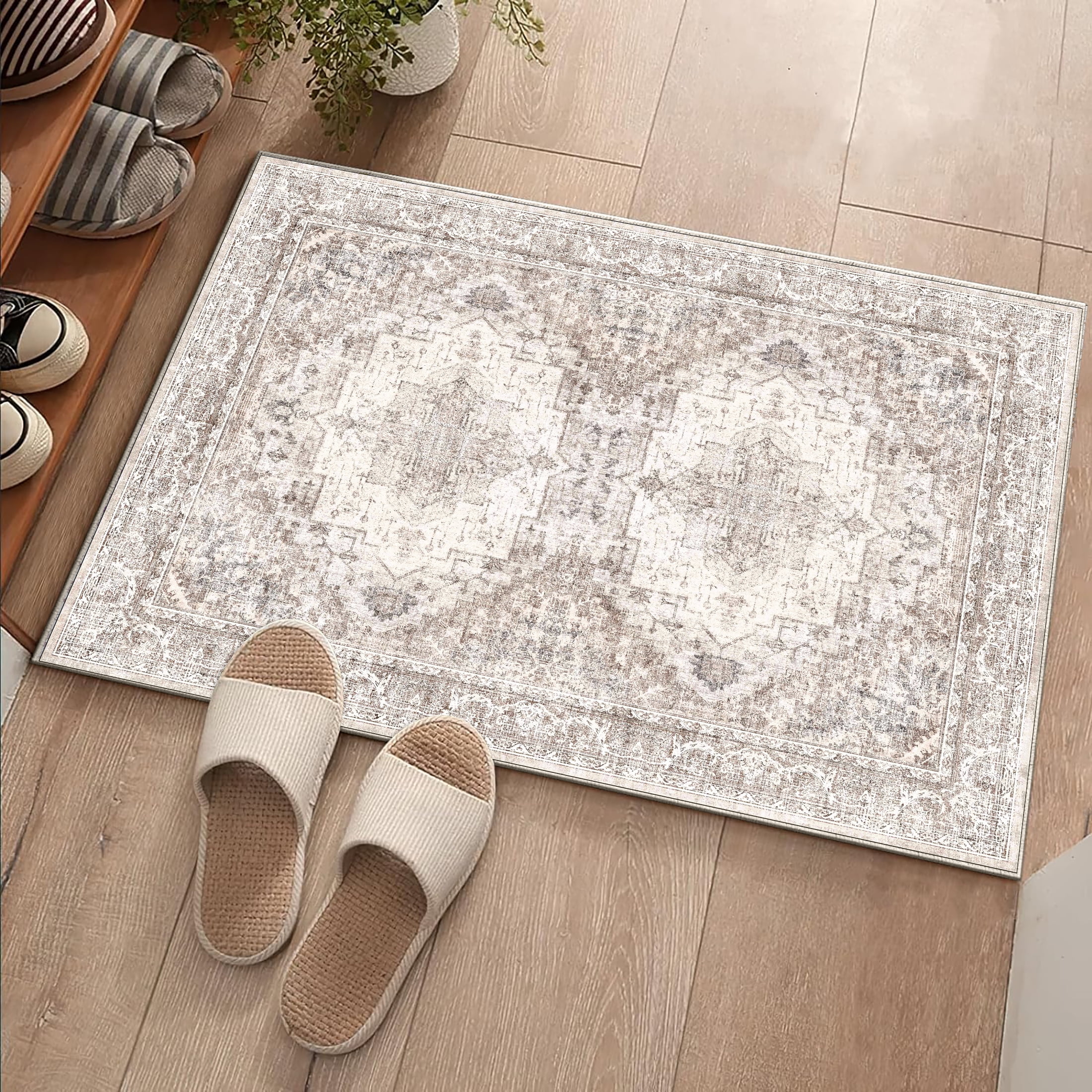 BERTHMEER 2'x3' Small Brown Area Rugs for Entryway Doorway Entrance ...