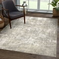 BERTHMEER 4'x6' Abstract Area Rugs for Living Room Entryway Office ...