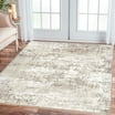 BERTHMEER 3'x5' Gray Abstract Area Rugs for Entryway Office Bedroom ...