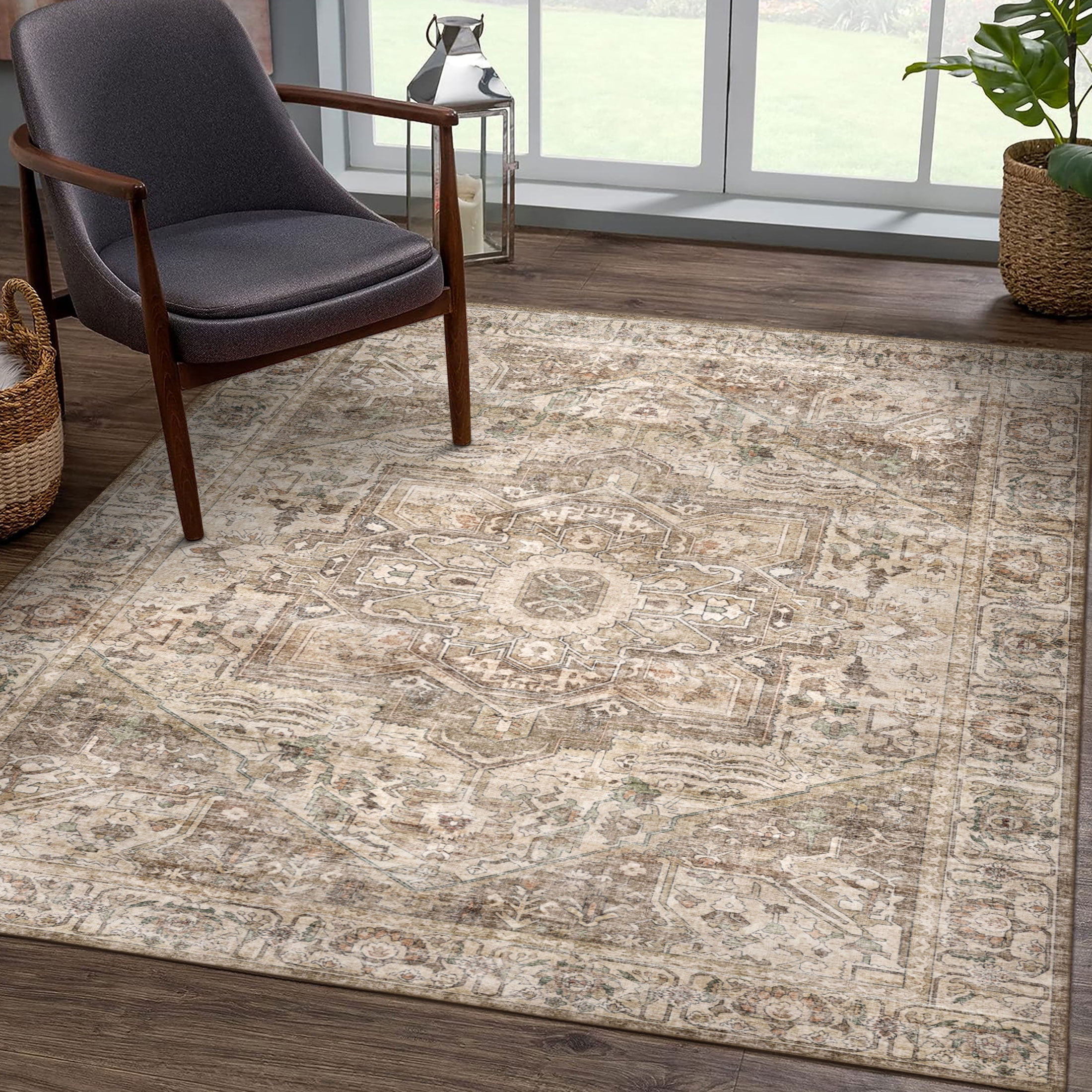 BERTHMEER 4'x6' Washable Area Rugs for Bedroom Office Entryway rugs ...