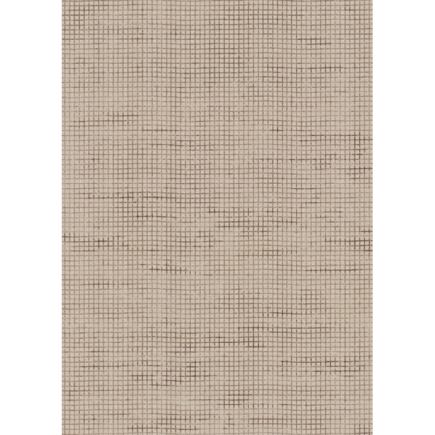 BERTHMEER 5'x7' Area Rugs for Living Room Bedroom Dining Room Kitchen ...