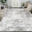 BERTHMEER 2'x3' Small Area Rugs Gray Abstract Rugs for Entryway Doorway ...