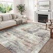 BERTHMEER 6'x9' Gray Abstract Area Rugs for Living Room Bedroom Dining ...
