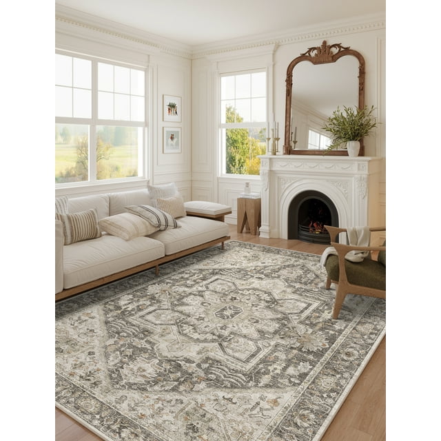 BERTHMEER 6'x9' Traditional Vintage Gray Area Rugs for Living Room ...