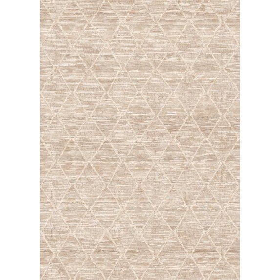 BERTHMEER 8'x10' Area Rugs for Living Room Large Beige Modern Geometric ...