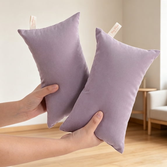 BESEW7 Soft Tiny Pillowcases 2 Pack Microfiber Travel Pillow Case ...