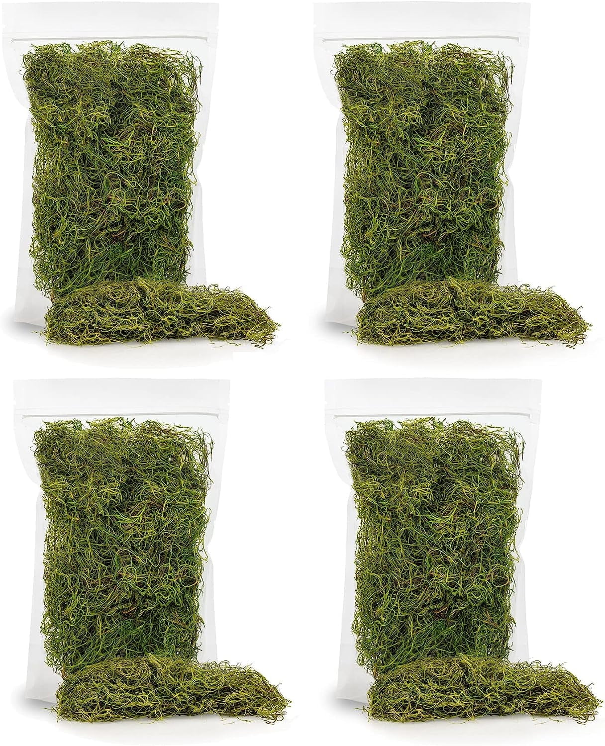 ⭐ BEST POTTING MIXES - Spanish Moss in Spring Green| Natural Preserved ...