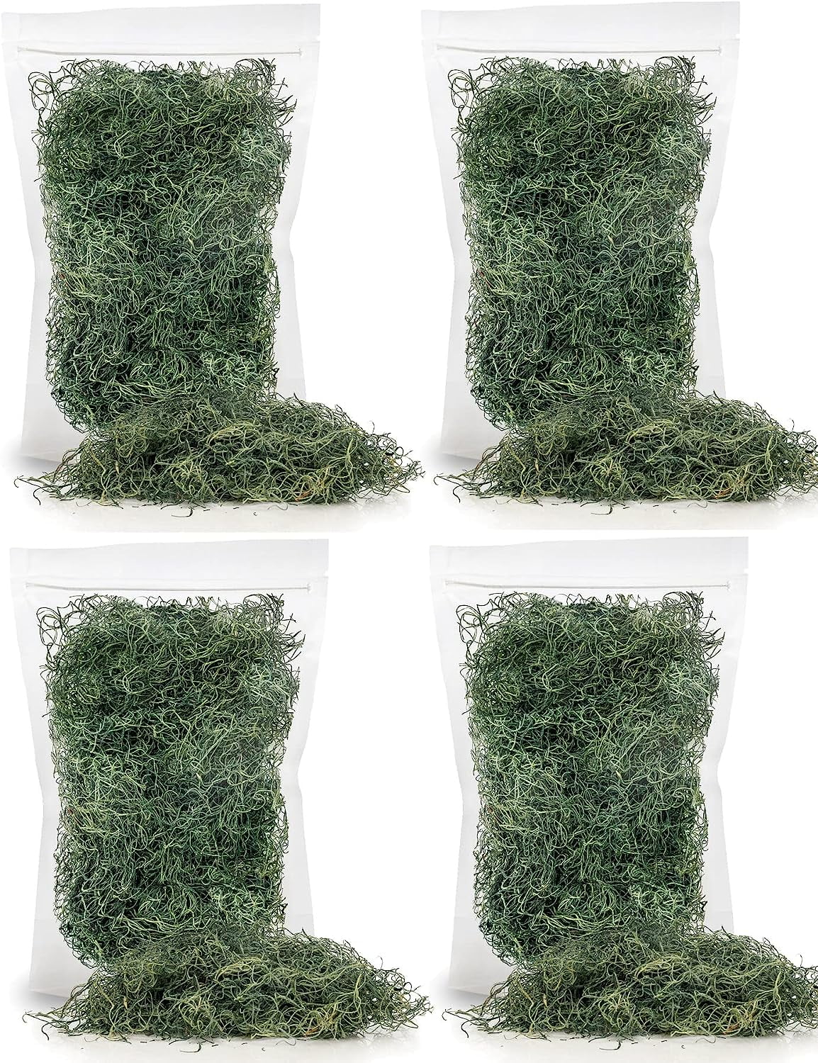 ⭐ BEST POTTING MIXES - Spanish Moss in Basil| Natural Preserved - Great ...