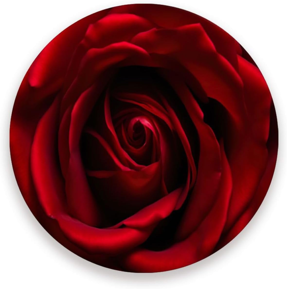 Red Rose Dragon