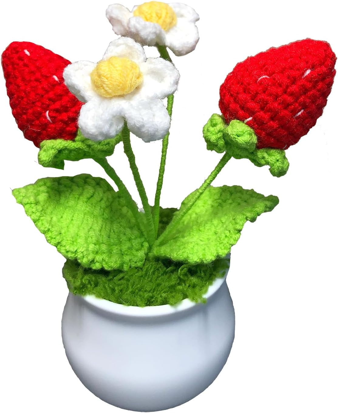 BESTKITTY Croet Flowers Cute Little Potted Flower, Gift for Birthday ...