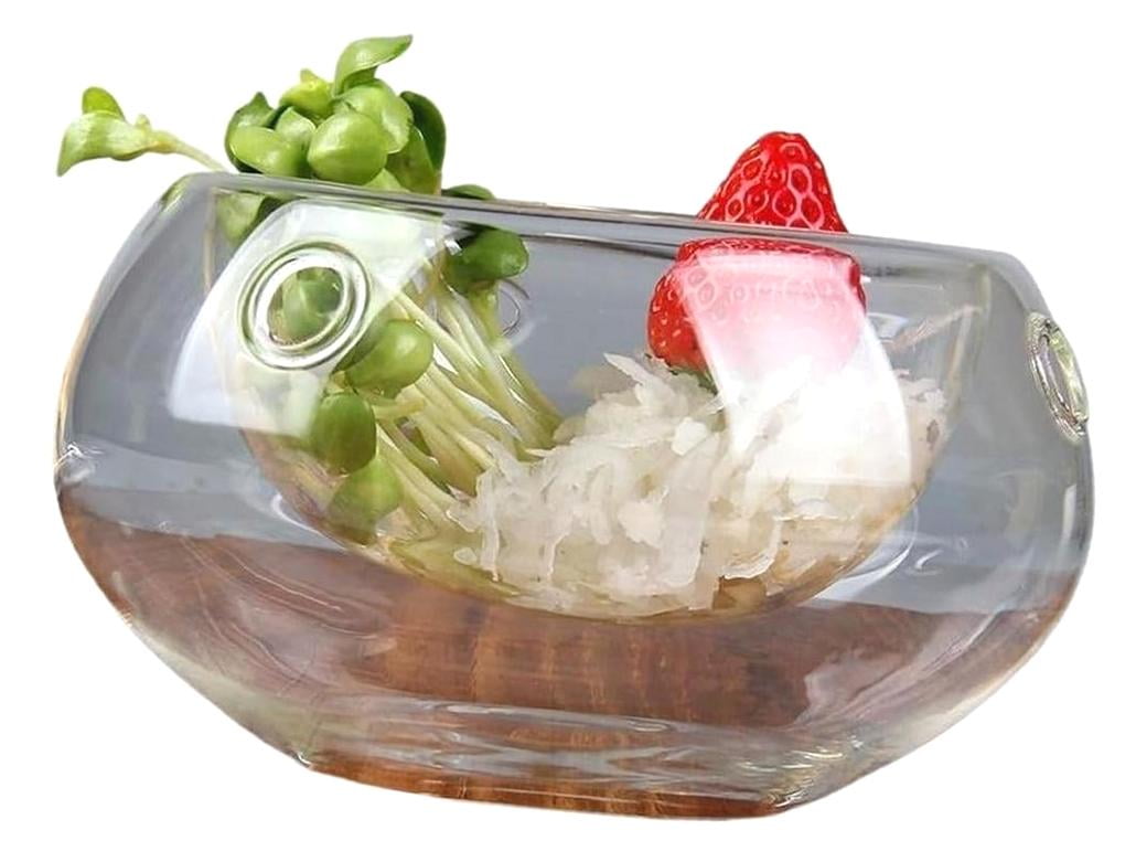 BESTKITTY Double-Layered Glass Pasta Bowl, Ideal for Cold Dishes, Fruit ...