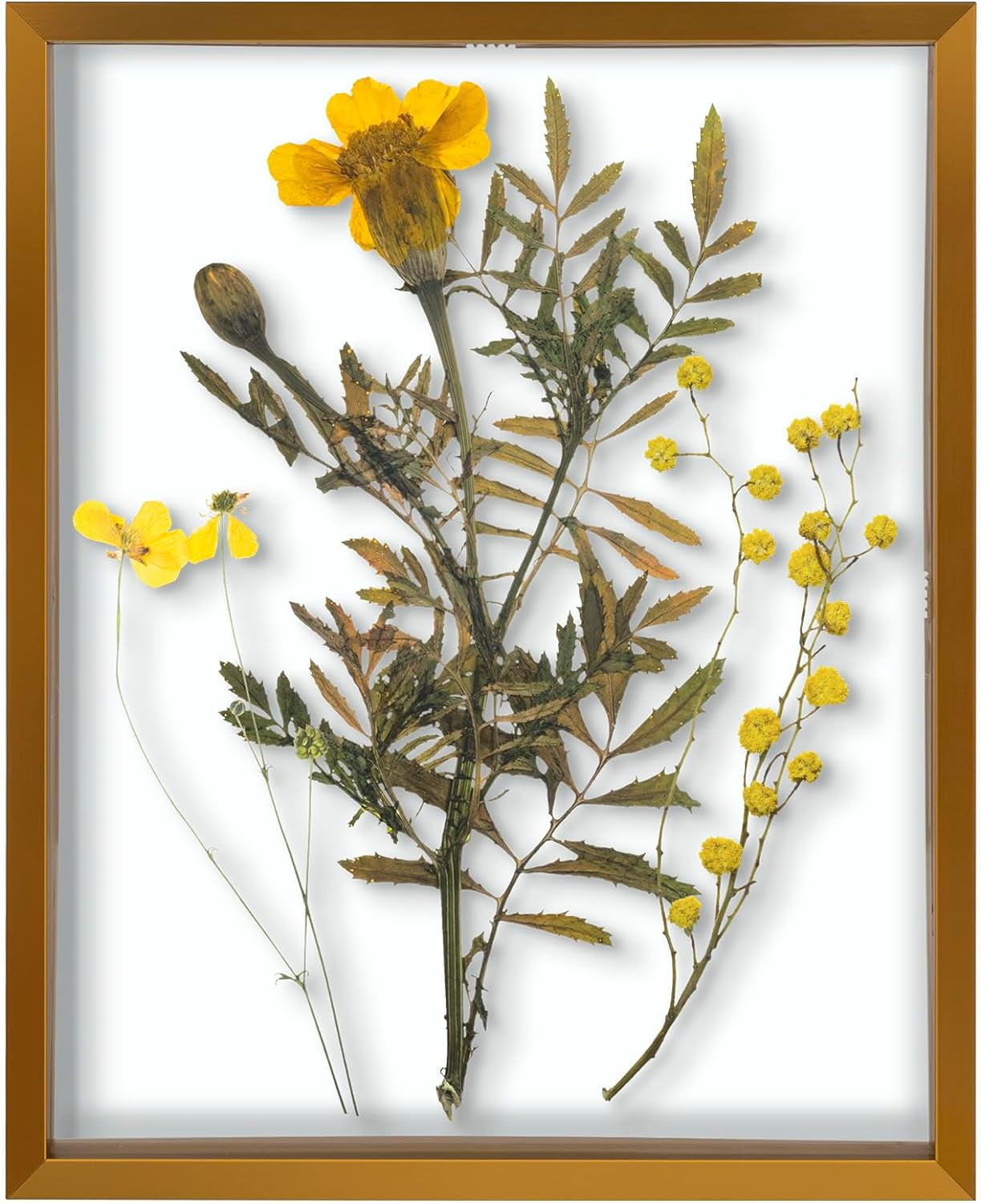 BESTKITTY Fetory, Floating Pture F 8x10 - ze Aluminum Metal P F - Real ...