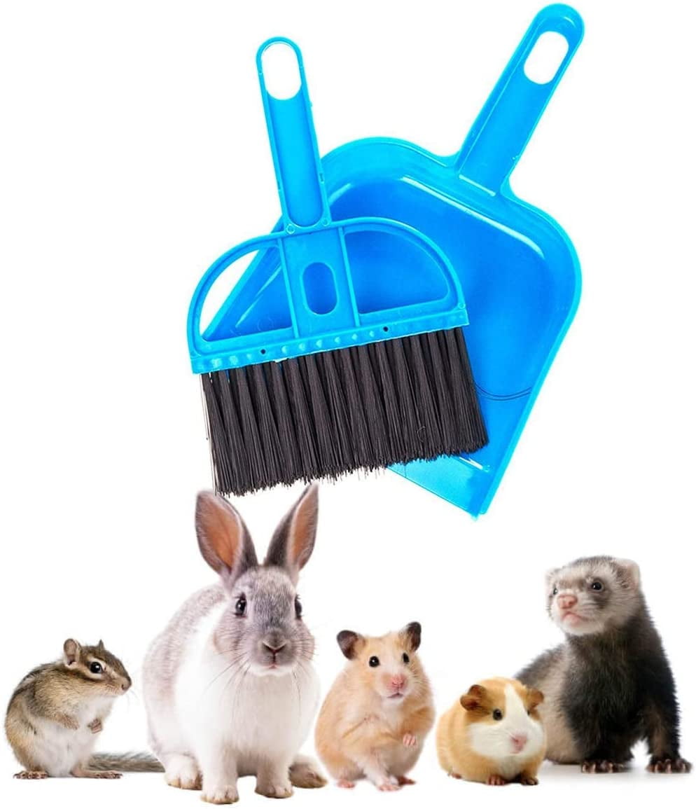 BESTKITTY Mini Broom and Dustpan Set - Compact Cleaning Kit for Home ...