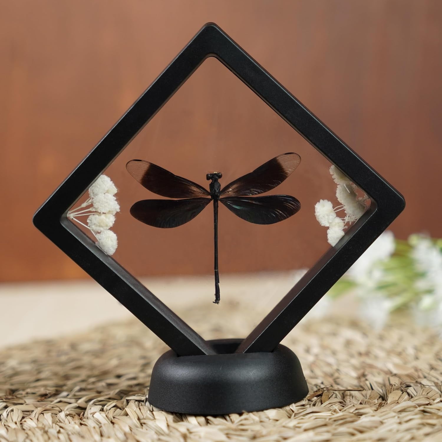 BESTKITTY Real Bla Dragonfly Beetle Bugs Plast Fe Dried Flower Specimen ...