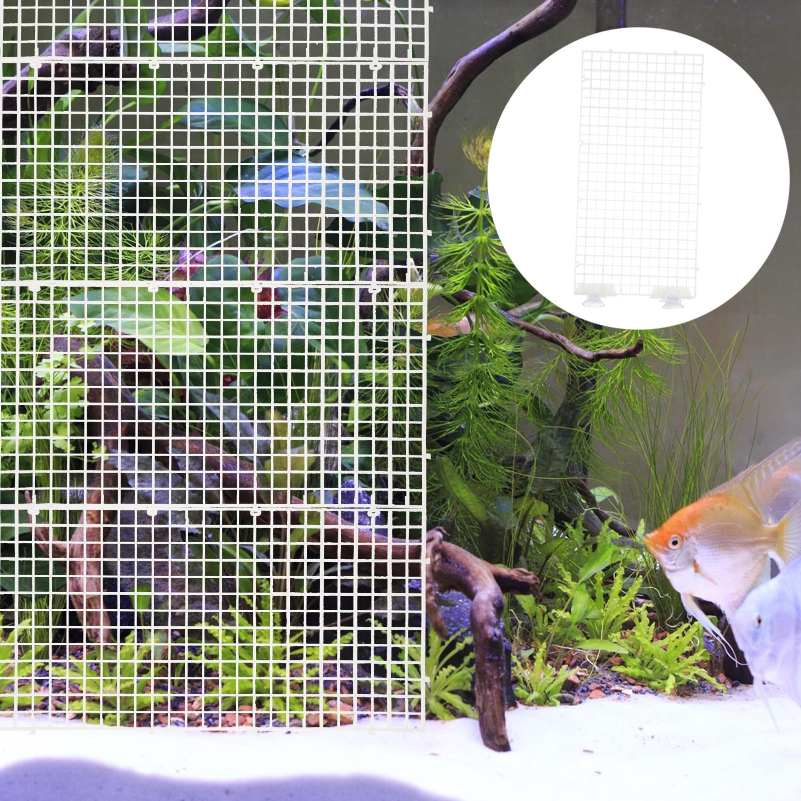 BESTONZON 1 Set Substrate Dividers For Aquarium Transparent PVC Lattice ...