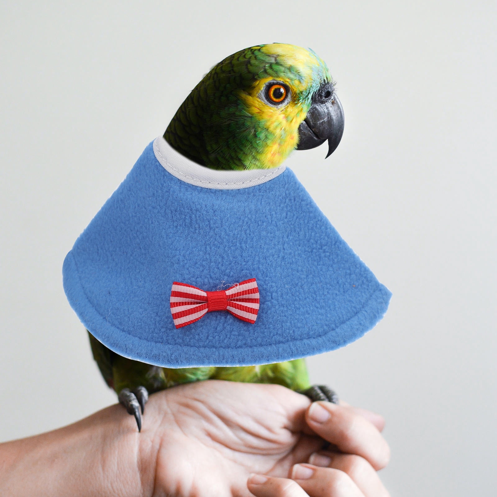 BESTOYARD 2 Pcs Bird Cone Felt Fabric Simple Design for Pet Bird Owners ...