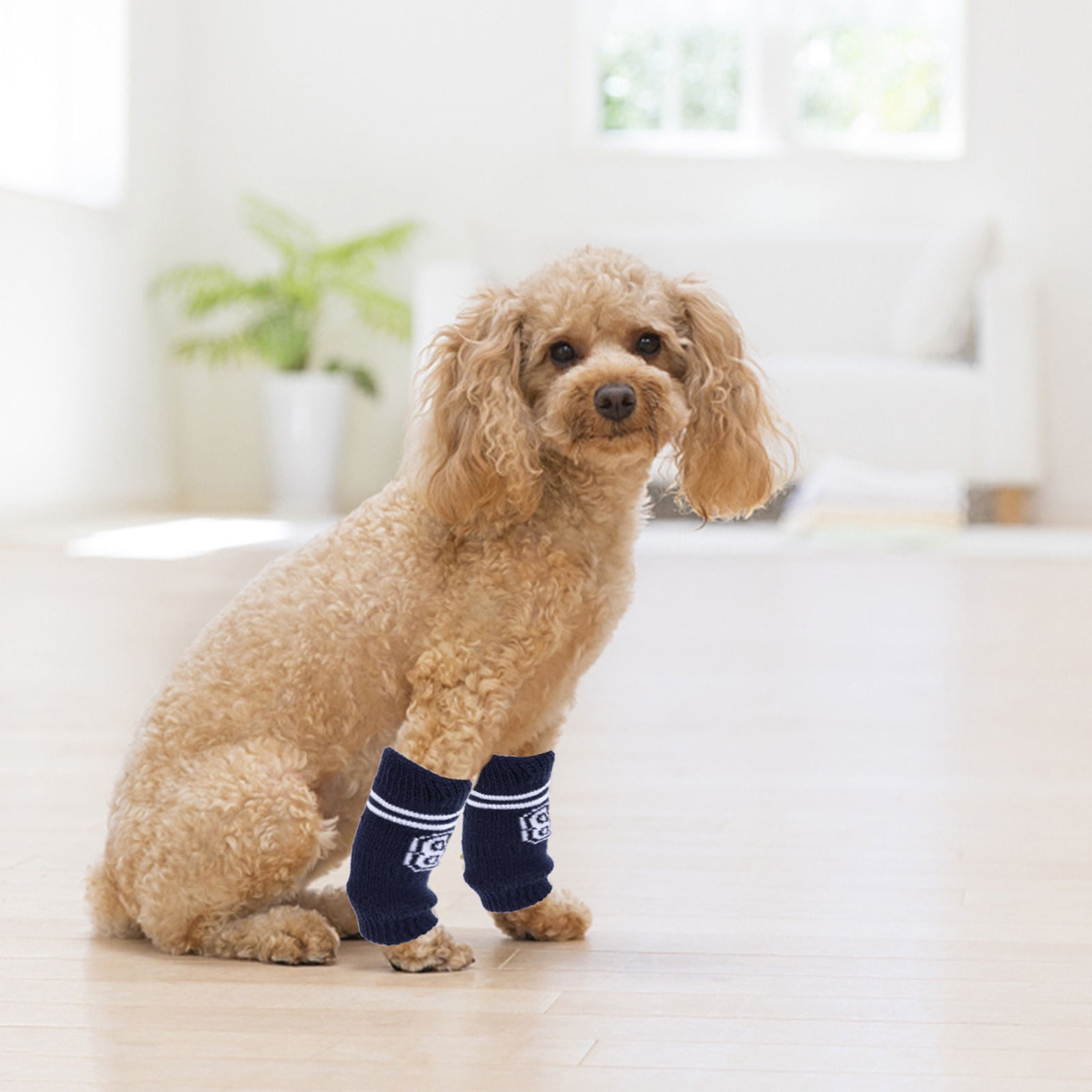 BESTOYARD 4 Pcs Dog Leg Warmers Knee Protectors for Small Dogs Puppy ...