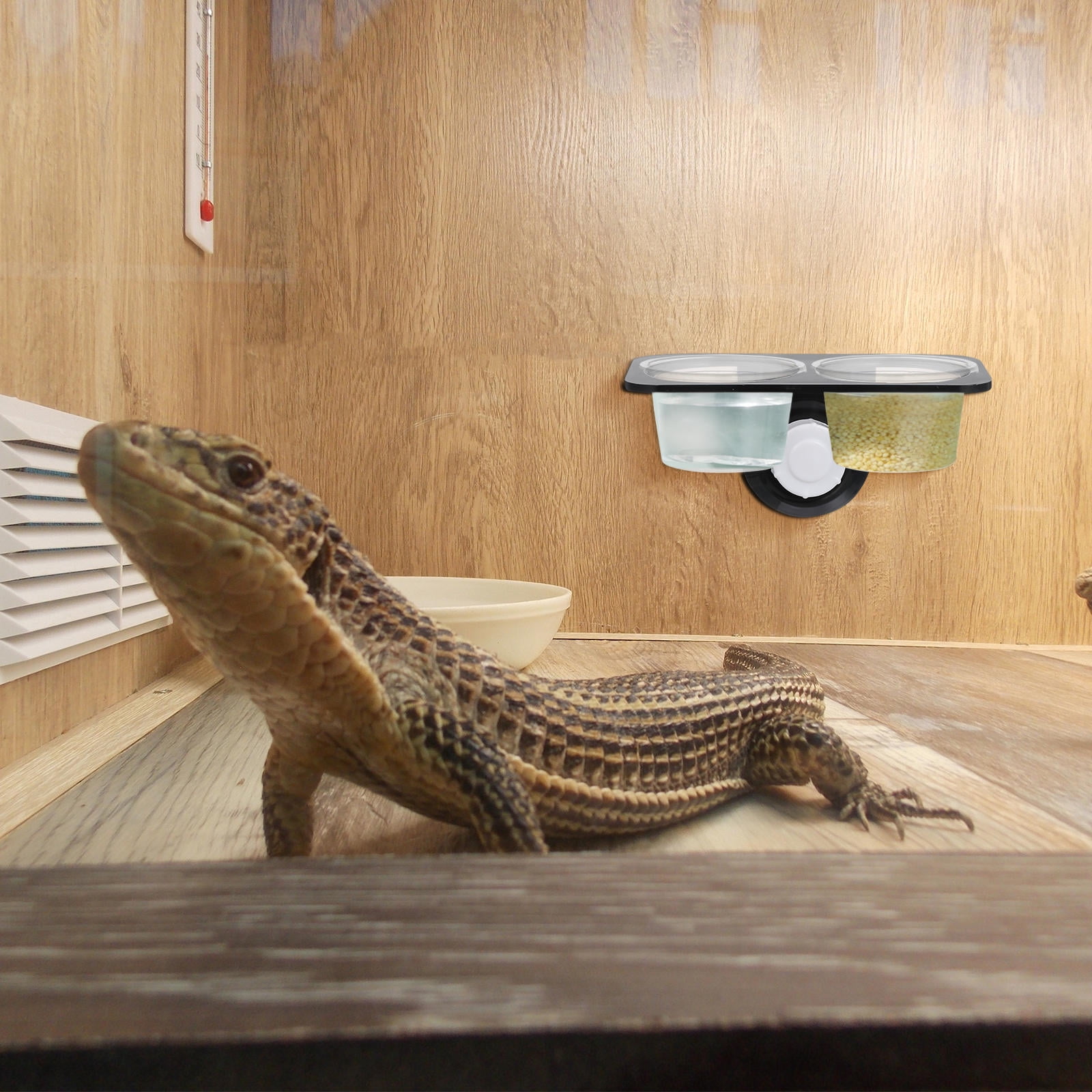 BESTOYARD Acrylic Gecko Feeder Ledge with Suction Cup 1 Set Reptile ...