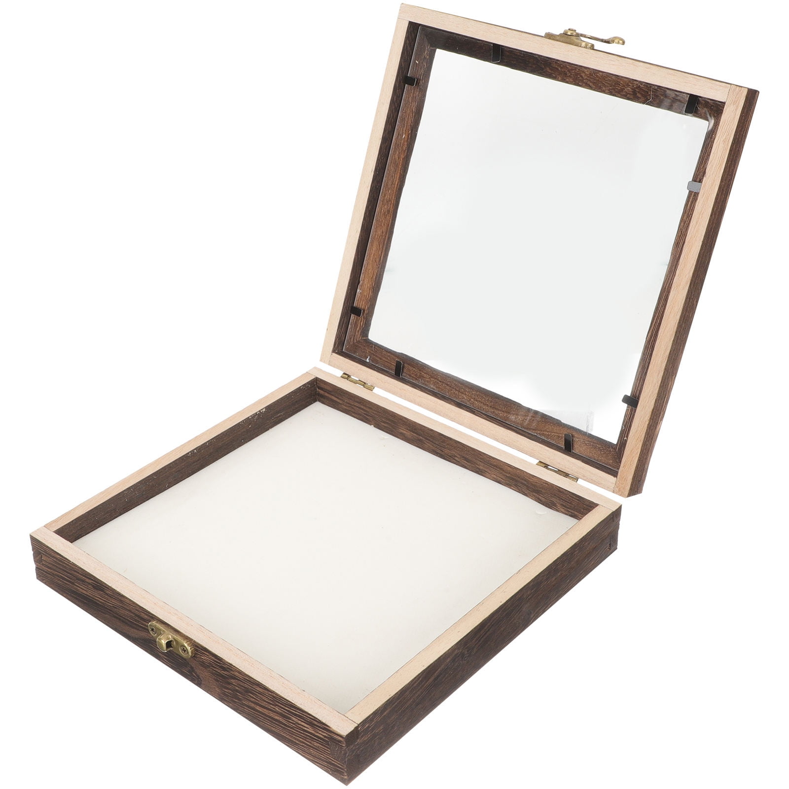 BESTOYARD Collecting Specimens Storage Box Wooden Retro Display Case ...