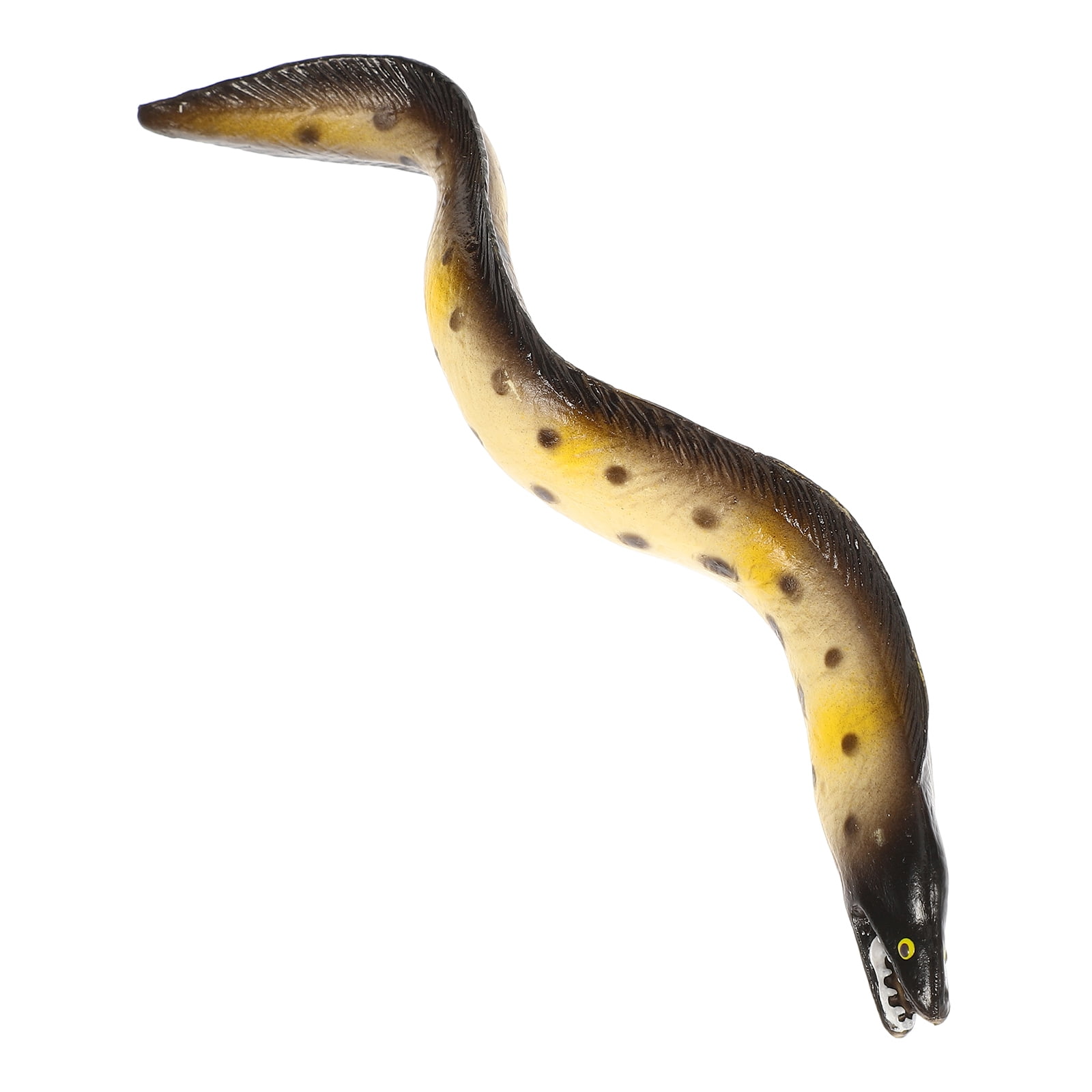 BESTOYARD Realistic Eel Model Toy for Decoration Beige Plastic Ocean ...