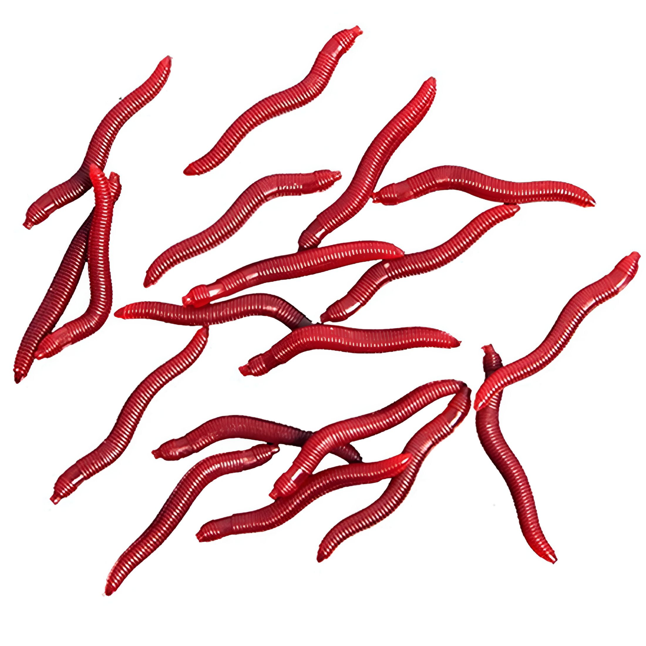BESTSKY 100Pcs Soft Earthworm Fish Lures Simulation Bait Bass Fishing ...
