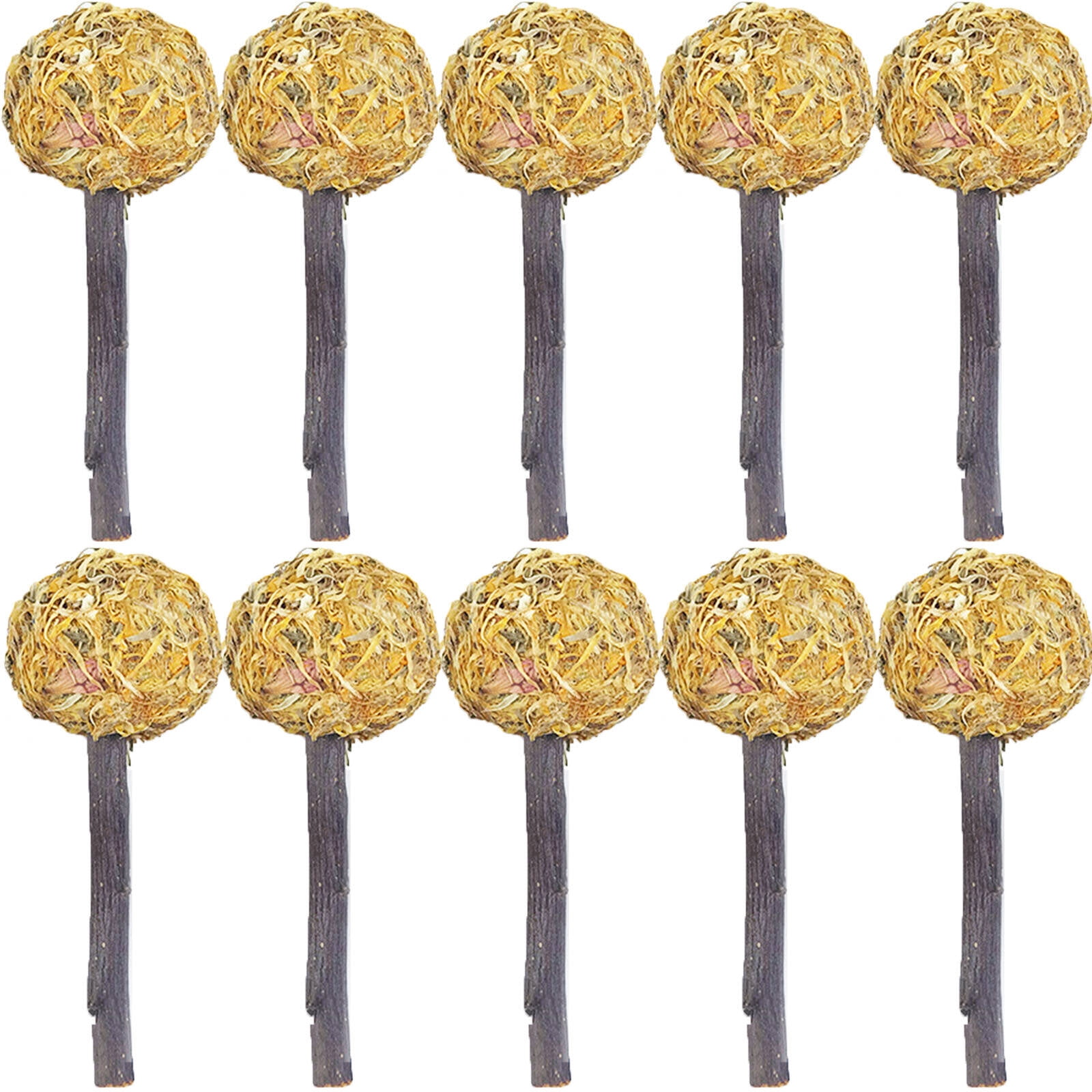 BESTSKY 10Pcs Nutritious Rabbit Chew Toys,Handmade Rabbit Toys with ...