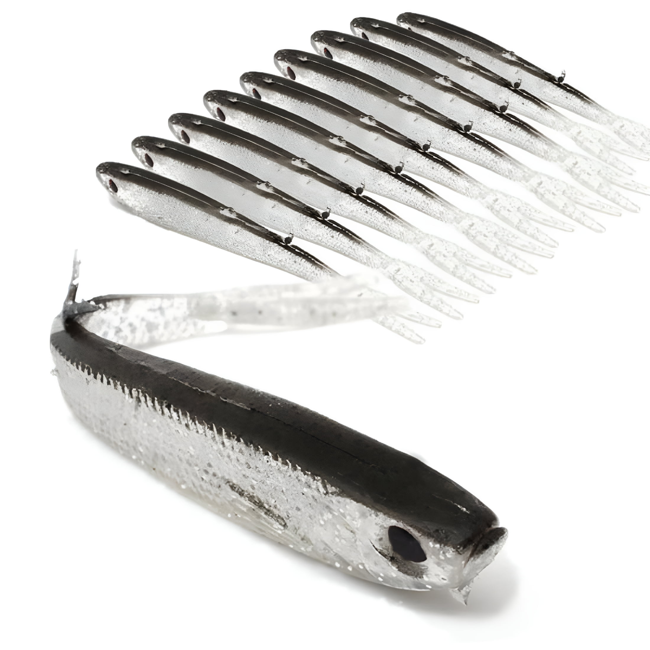 BESTSKY 2026 New 10Pcs Fishing Lure False Fish Shape Soft Artificial ...