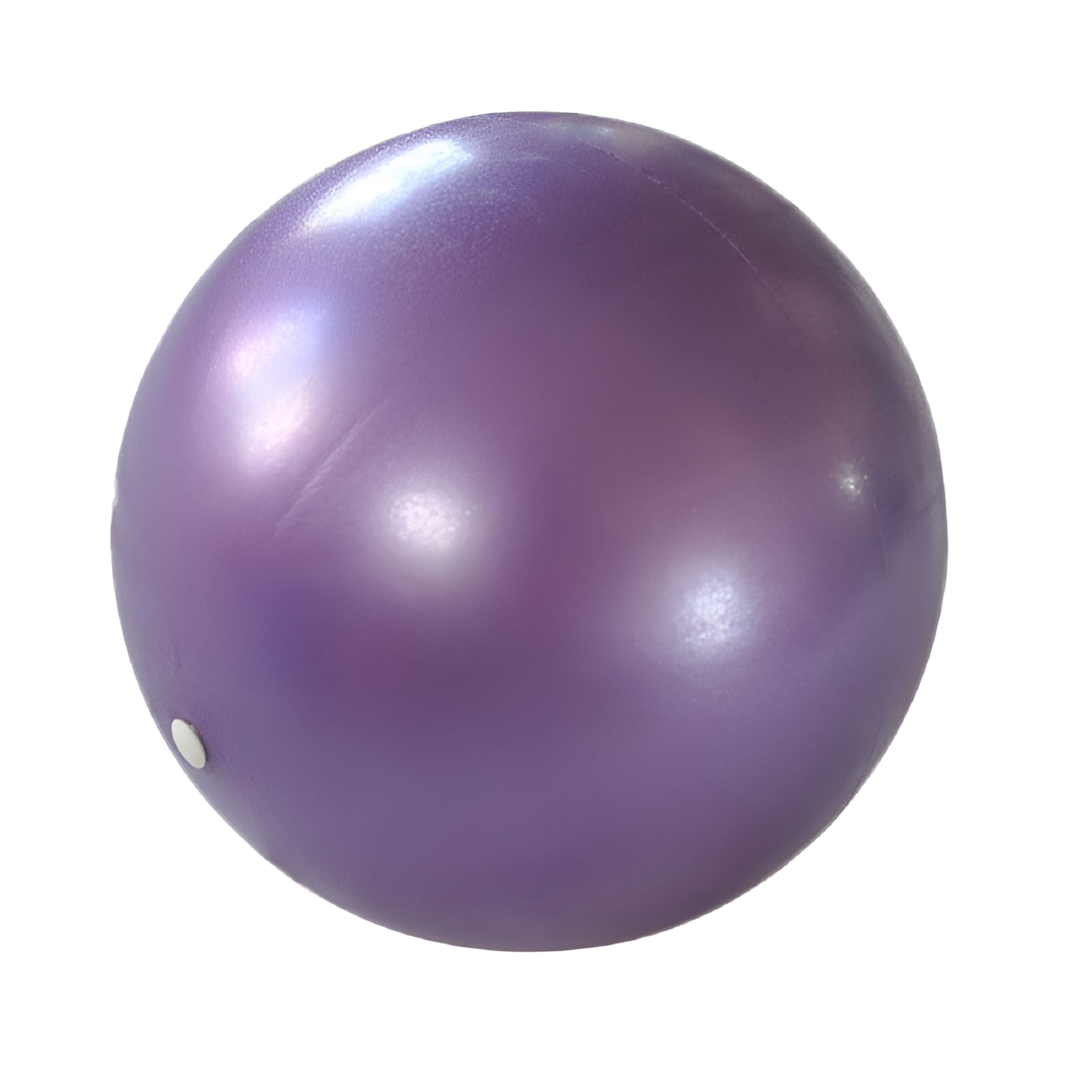 BESTSKY 2026 New 25Cm Exercise Yoga Ball for Home, Gym, Pilates, Core ...