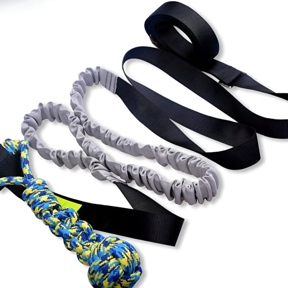 Hanging Bungee Dog Toy