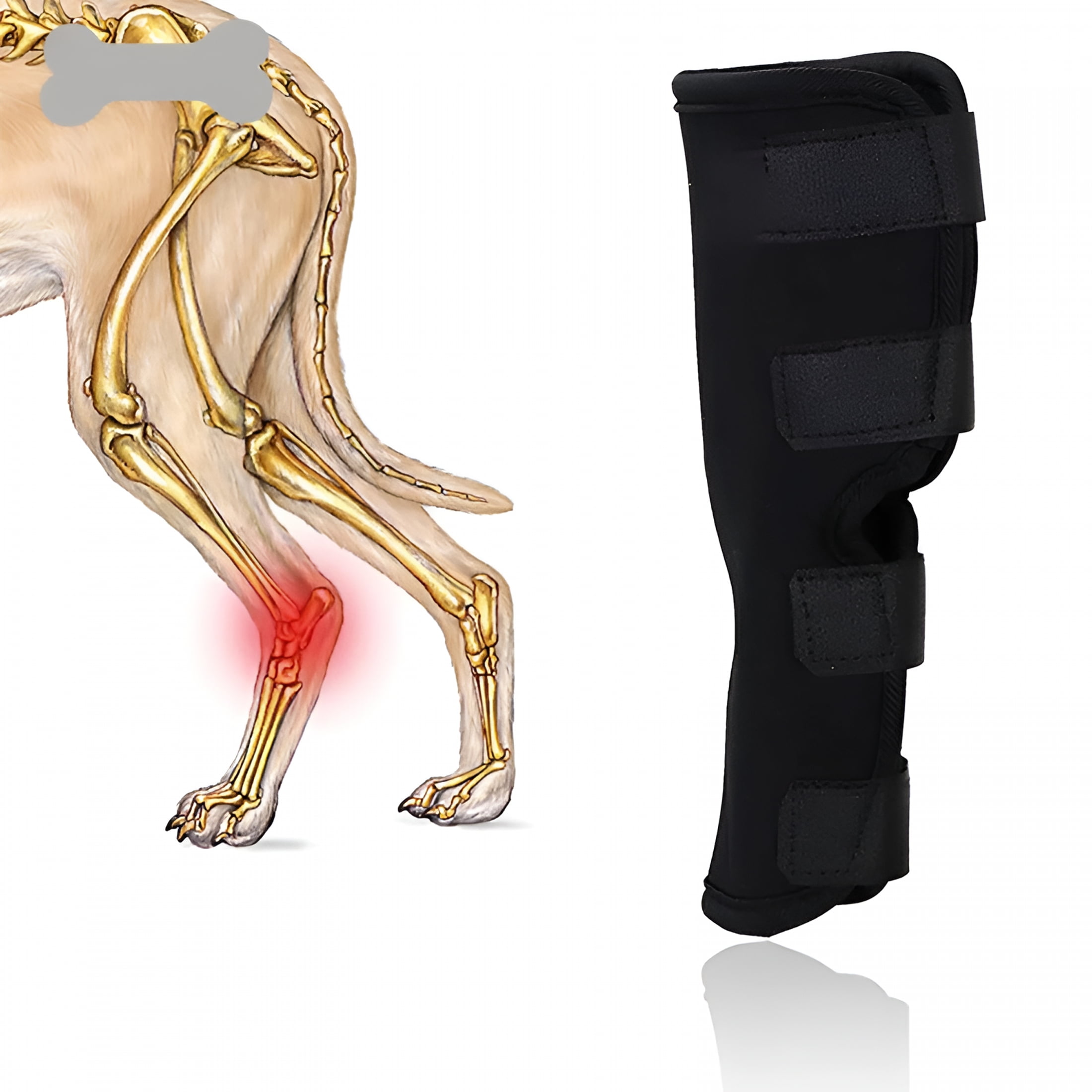 BESTSKY 2026 New Pets Dog Knee Brace for Leg Adjustable Rear Leg Brace ...
