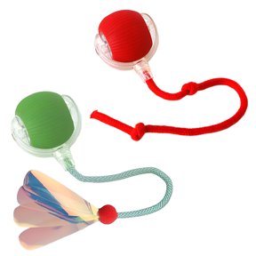 Koiauber Interactive Cat Wand Toy Cat Teaser Stick String Toy with ...