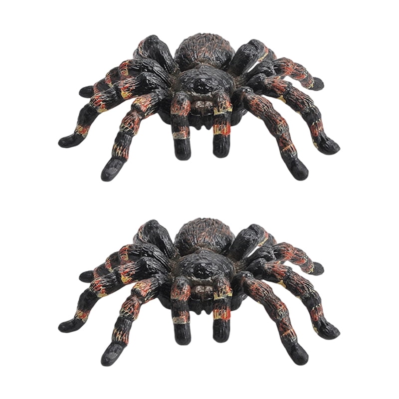 BESTSKY 2Pcs Fake Bugs,Bird-Catching Spider Plastic Bugs,Visual Sense ...