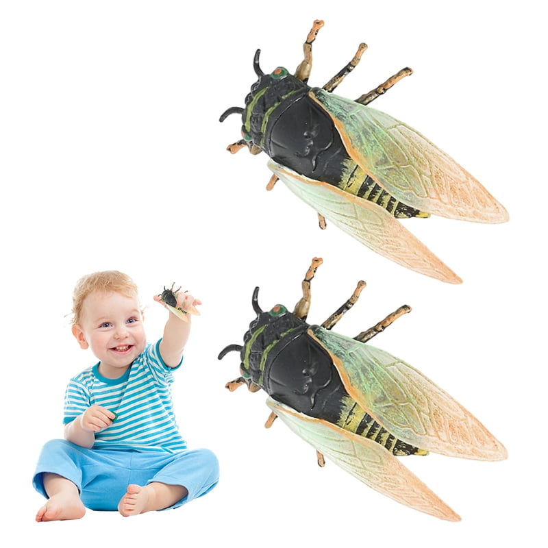 BESTSKY 2Pcs Fake Bugs,Simulated Cicada Plastic Bugs,Tactile Material ...