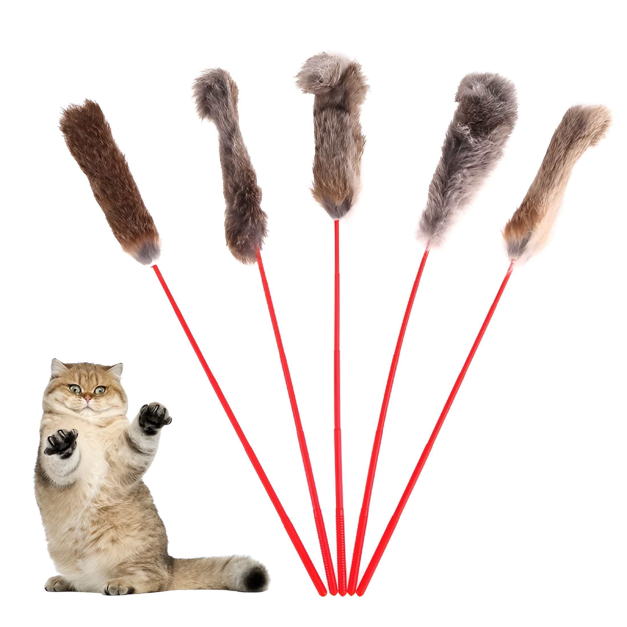 BESTSKY 5Pcs Cat Teaser Durable Cat Long Strip Teaser Plastic As Gifts ...