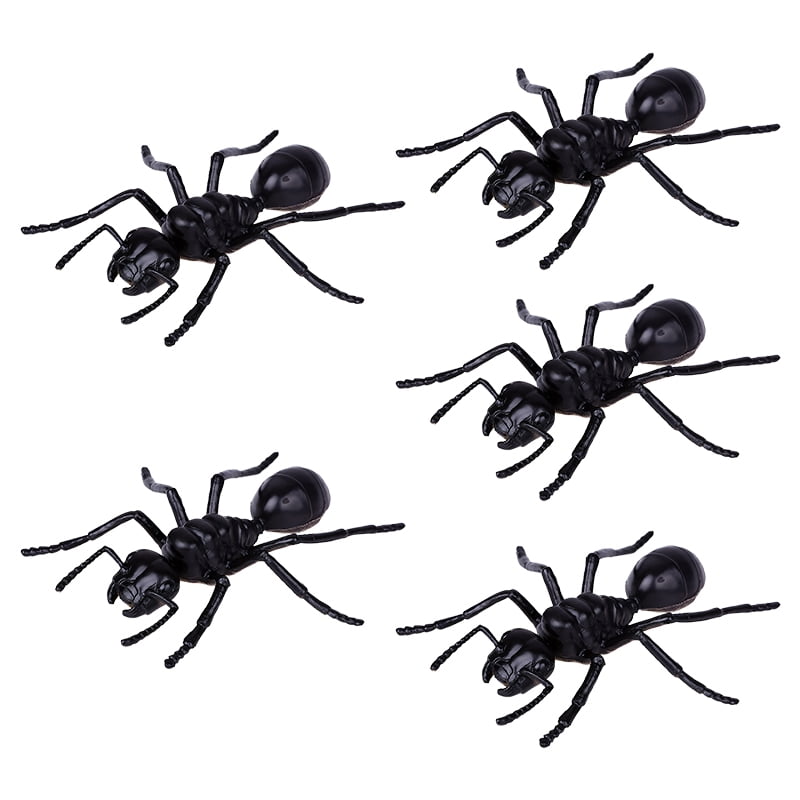 BESTSKY 5Pcs Fake Bugs,Ant Insects and Halloween Toys,Playful Shape Toy ...