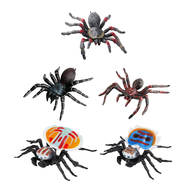 BESTSKY 5Pcs Fake Bugs,Colorful Spider Bug Toys,Clear Structure Plastic ...