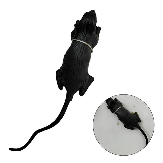 BESTSKY 5Pcs Halloween Toys,Big Cockroach Halloween Decorations Indoor ...