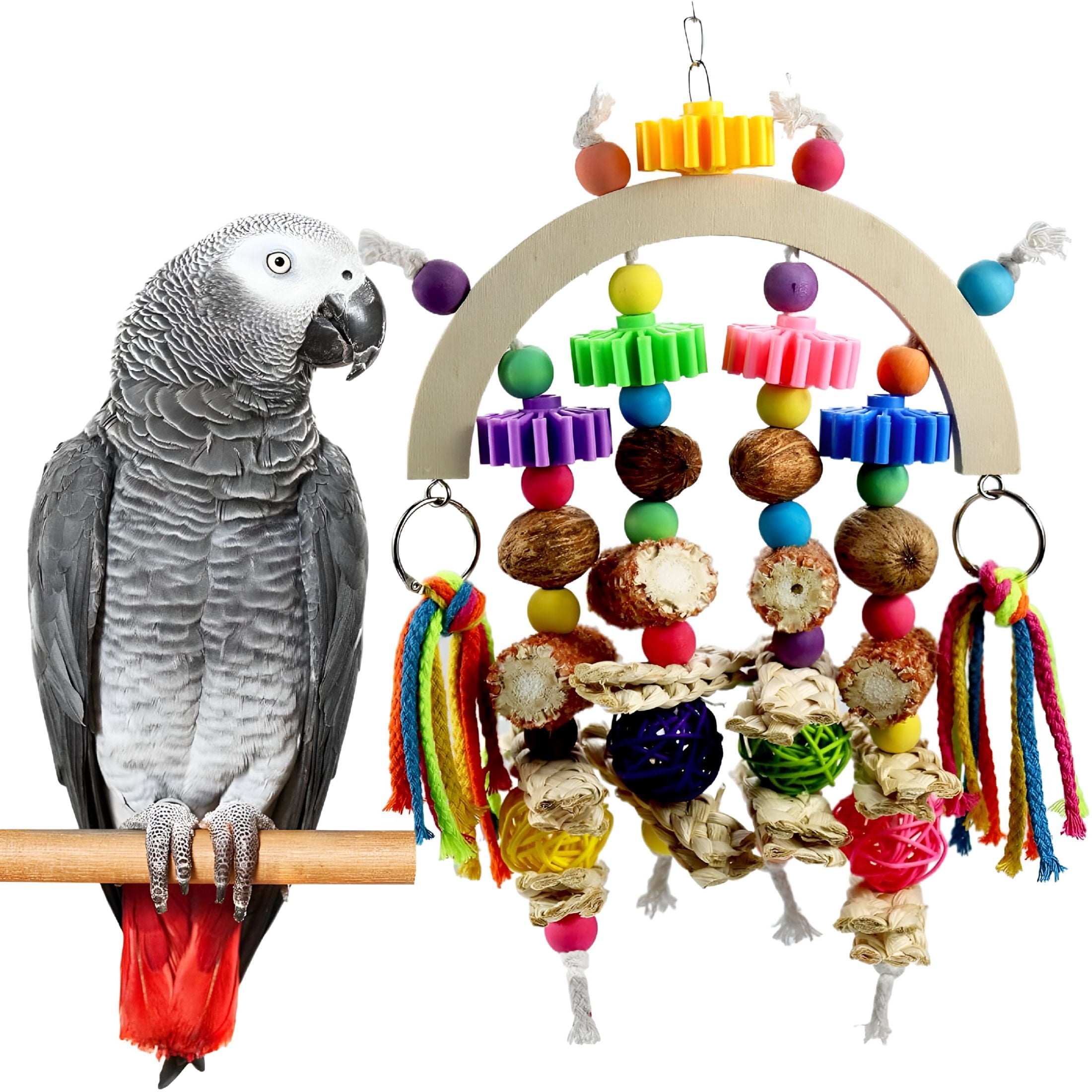 BESTSKY Bird Toys-Natural Corncob Wood&Mango Chew Toys for African Grey ...