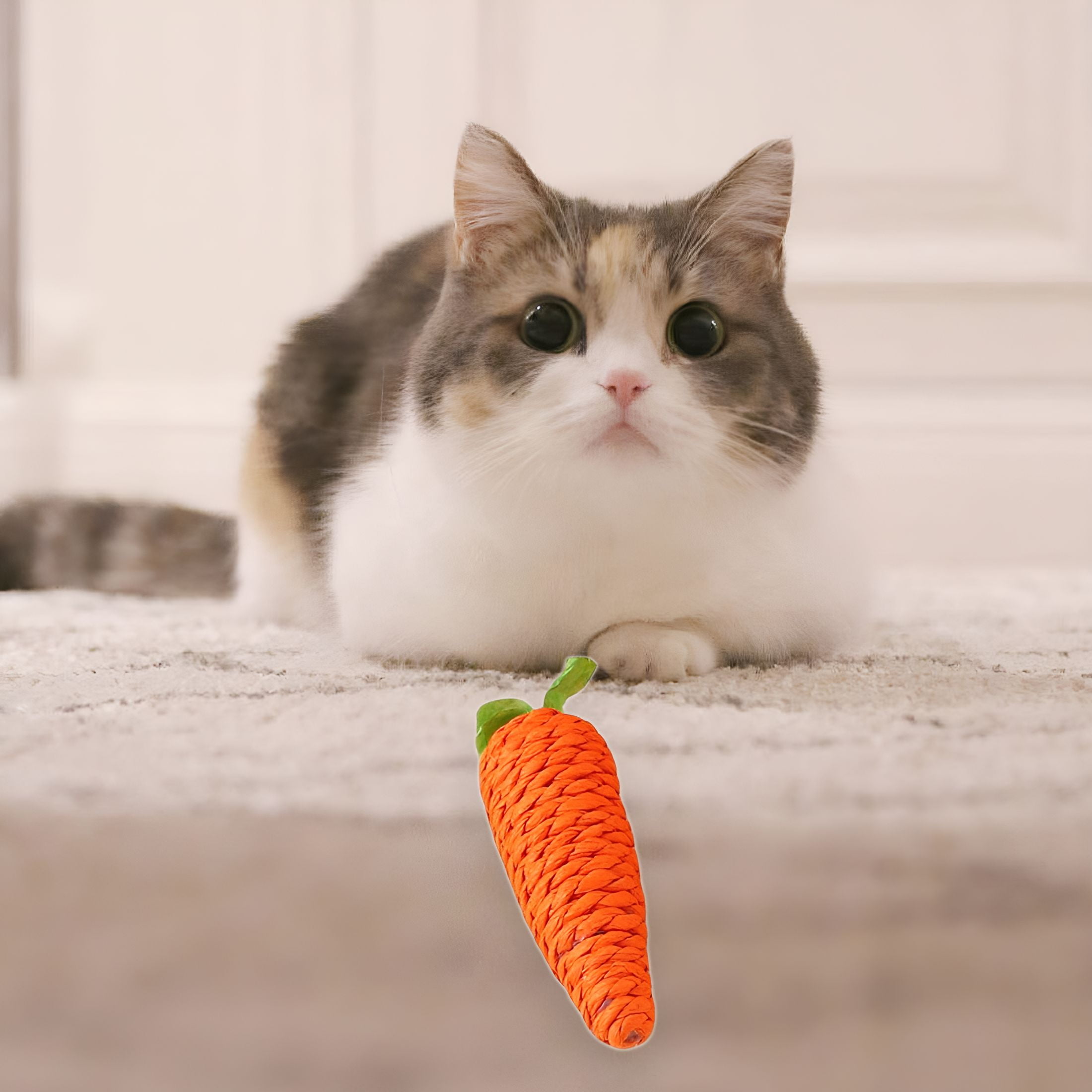 BESTSKY Carrot Shapes Cat Rope Toys for Indoor Cats and Kittens for ...