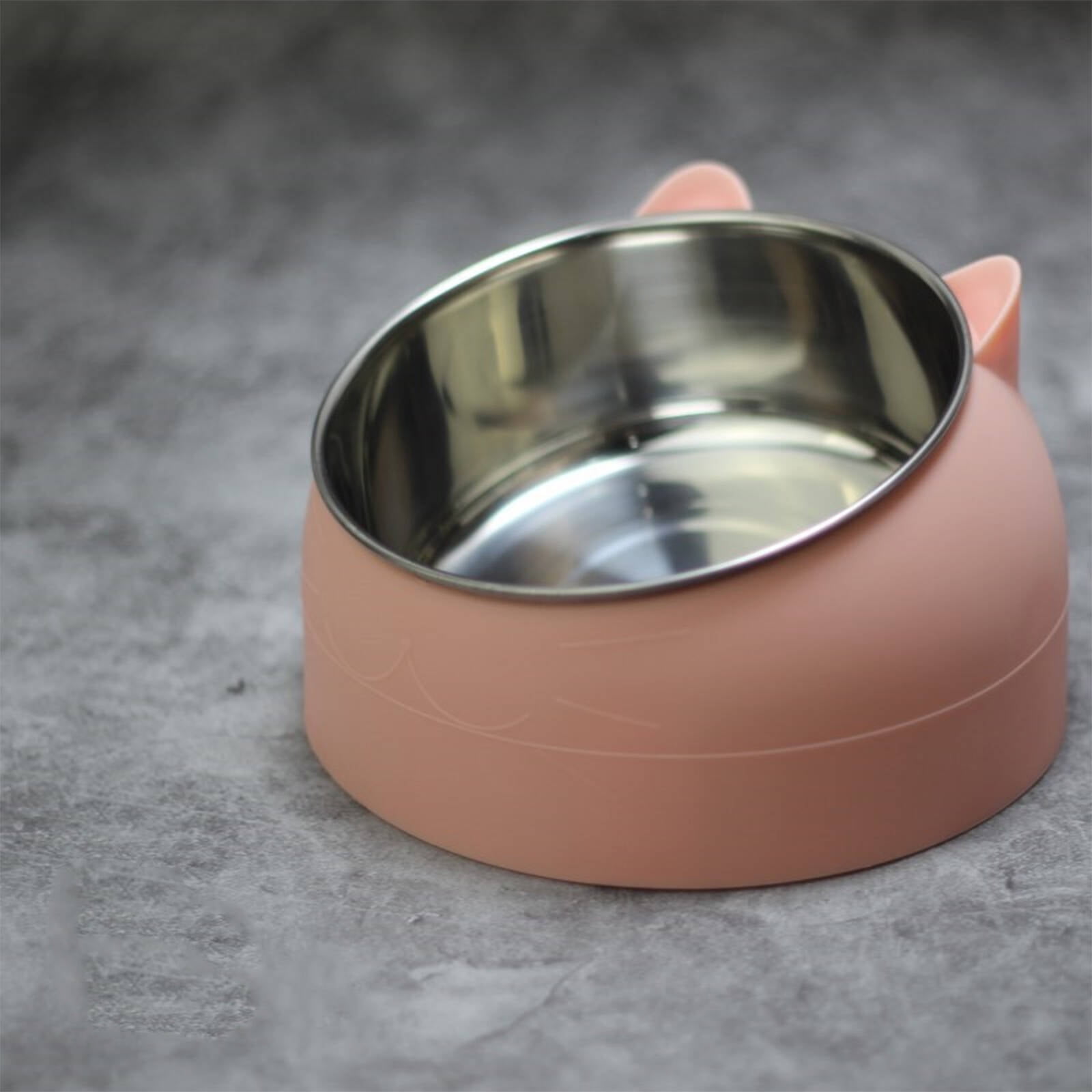 BESTSKY Cat Bowls,Ergonomic Elevated Design Cat Food Bowl,Anti-Slip ...